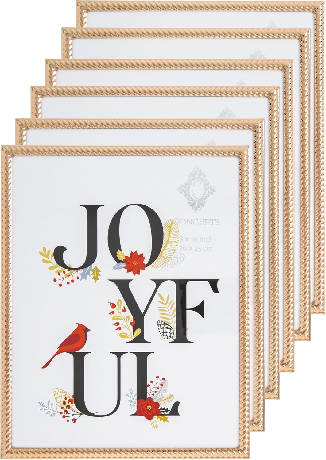 Amazon.com - Value Pack (Set Of 6) 8x10 Metal Rope Picture Frames for ...