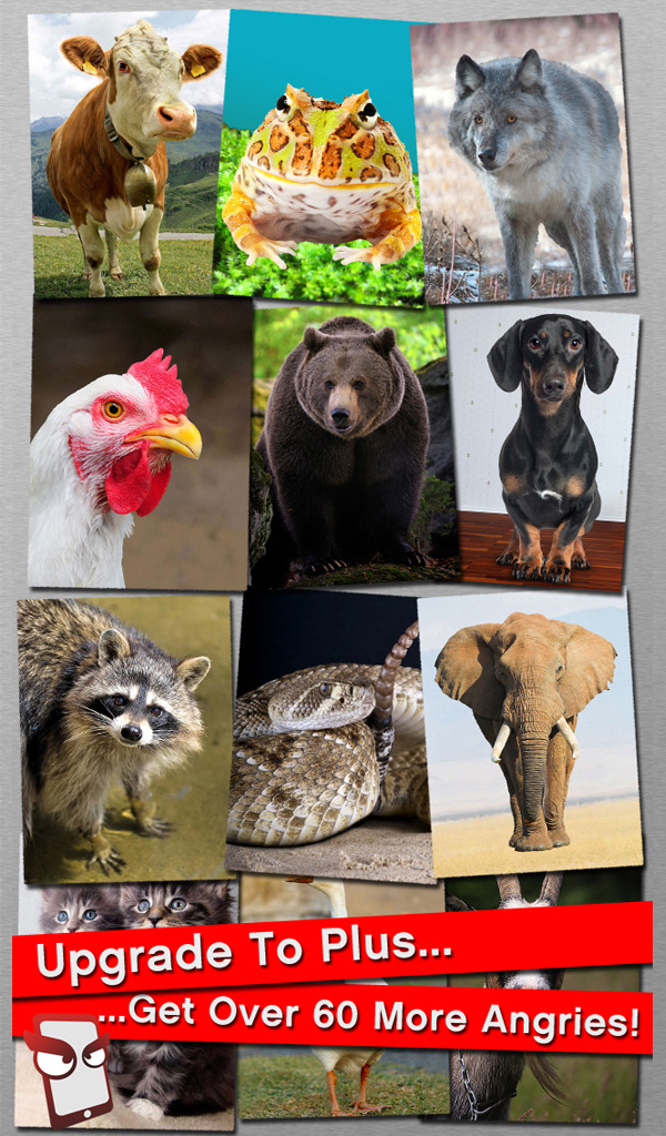 AngryGuineaPig Free - The Angry Guinea Pig Simulator - App on the ...