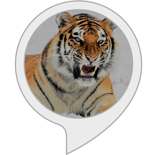 Amazon.in: Mizzou Chant : Alexa Skills
