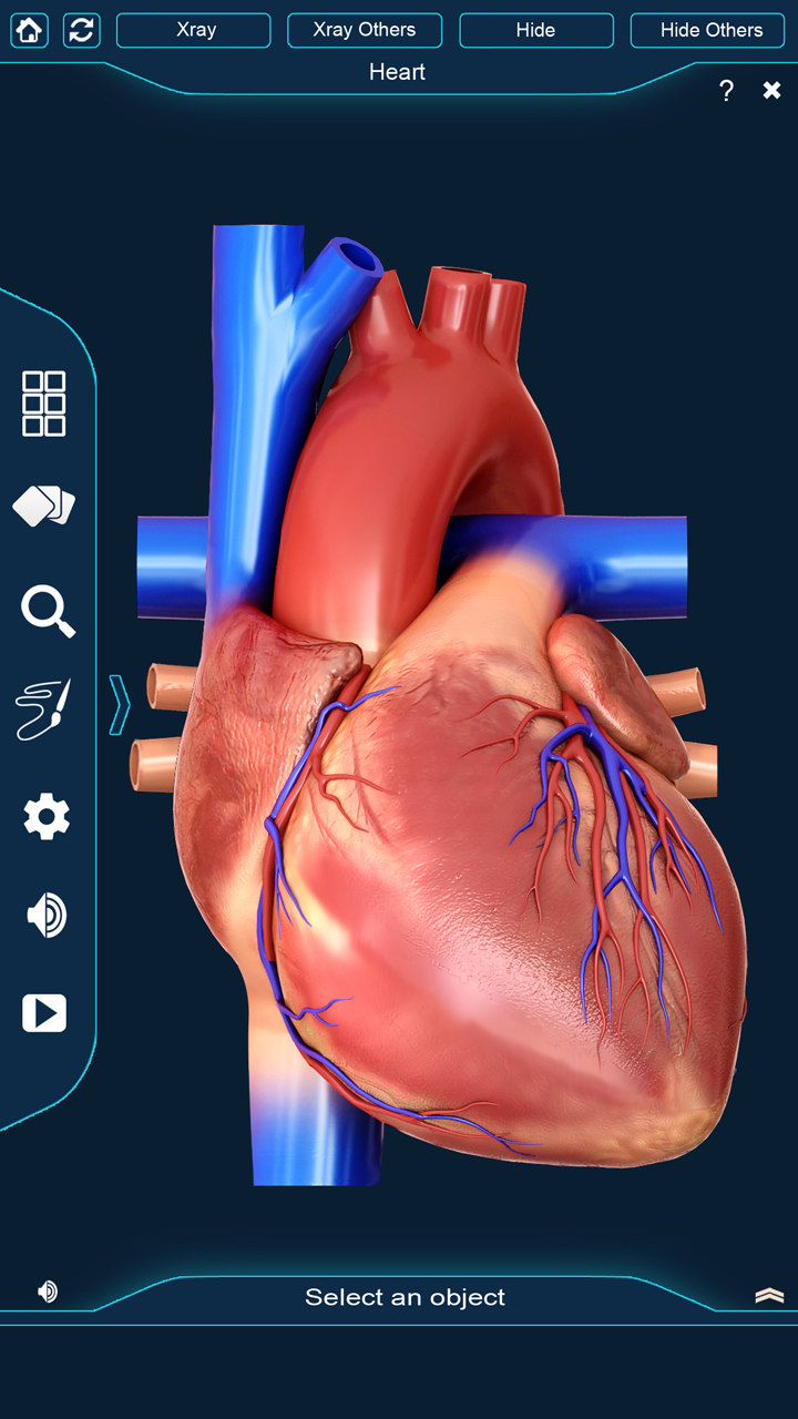 Heart Anatomy Pro.: app su Amazon Appstore