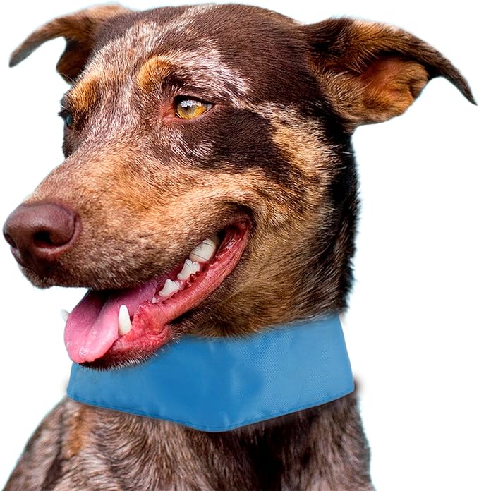 Amazon.com : Pet Life ® Summer-Cooling' Insert Able and Adjustable ...