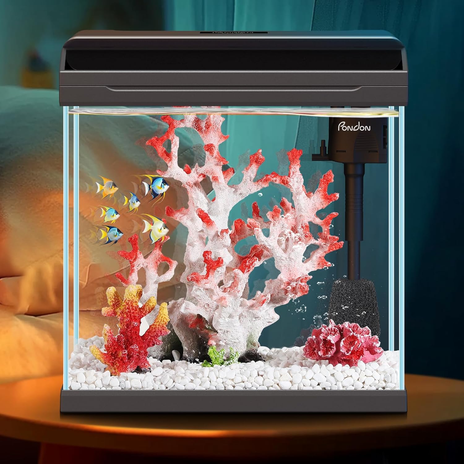 Amazon.com : PONDON Detachable Fish Tank 4 Gallon, Low-Iron Glass Betta ...