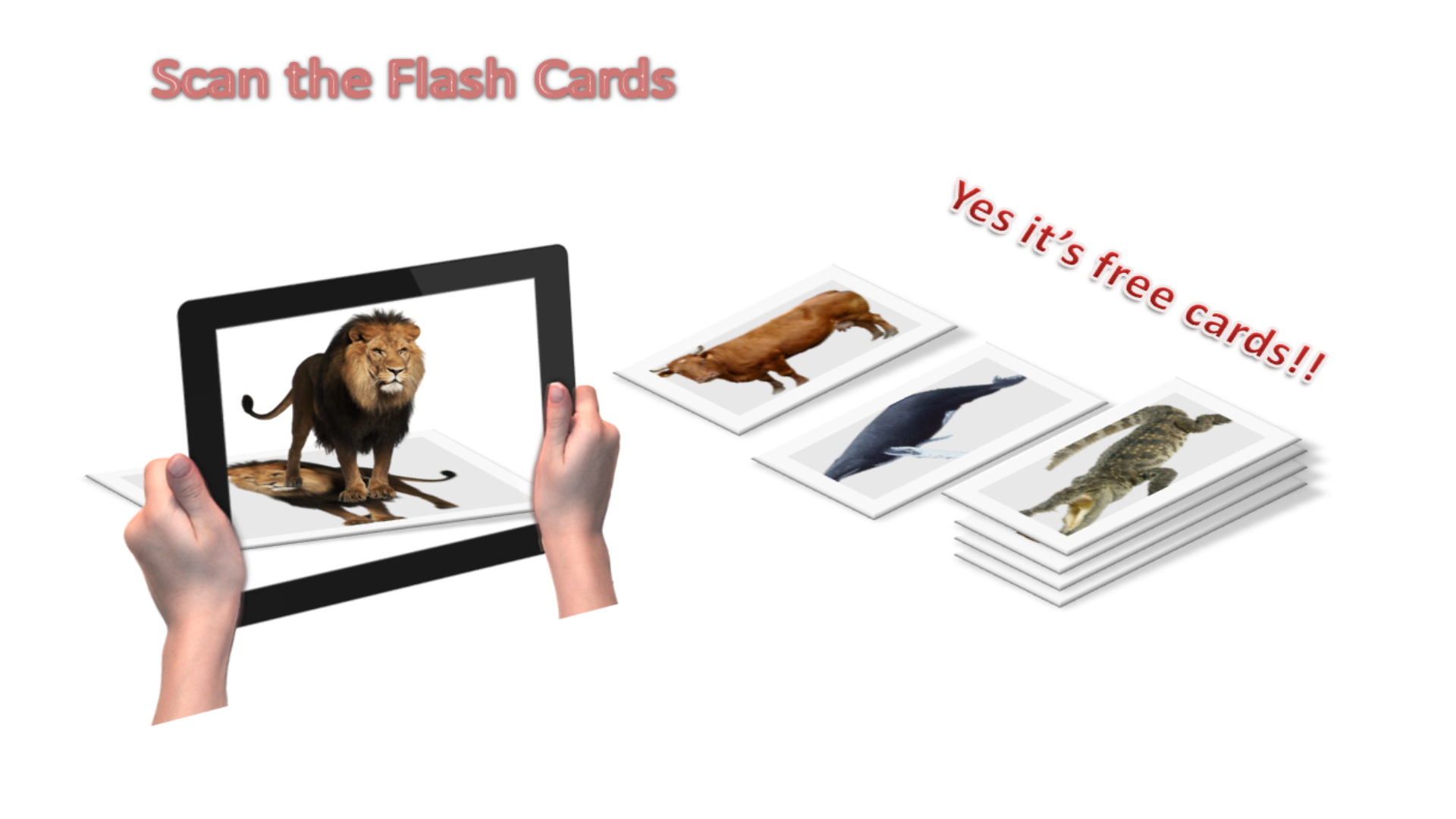 Animal Life 4D - App on Amazon Appstore