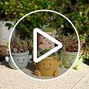 Amazon.com : YOYLMAL Cute Face Planter Pot, Small Resin Head Planters ...