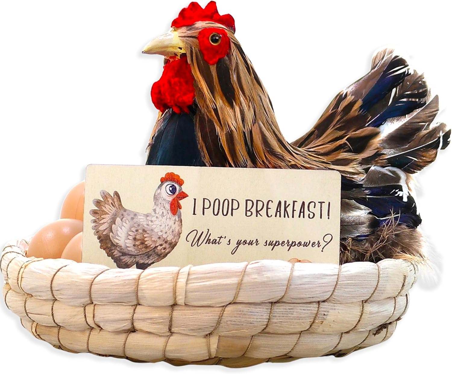 Amazon.com: QNNEFF 7.8 Inches Realistic Chicken with 5 Fake Eggs Real ...