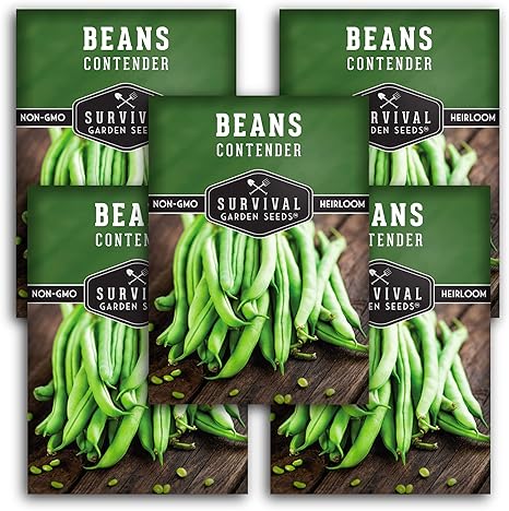 Amazon.com : 5 Packs Contender Bush Bean Seed for Planting with ...