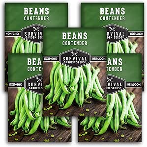 Amazon.com : 5 Packs Contender Bush Bean Seed for Planting with ...