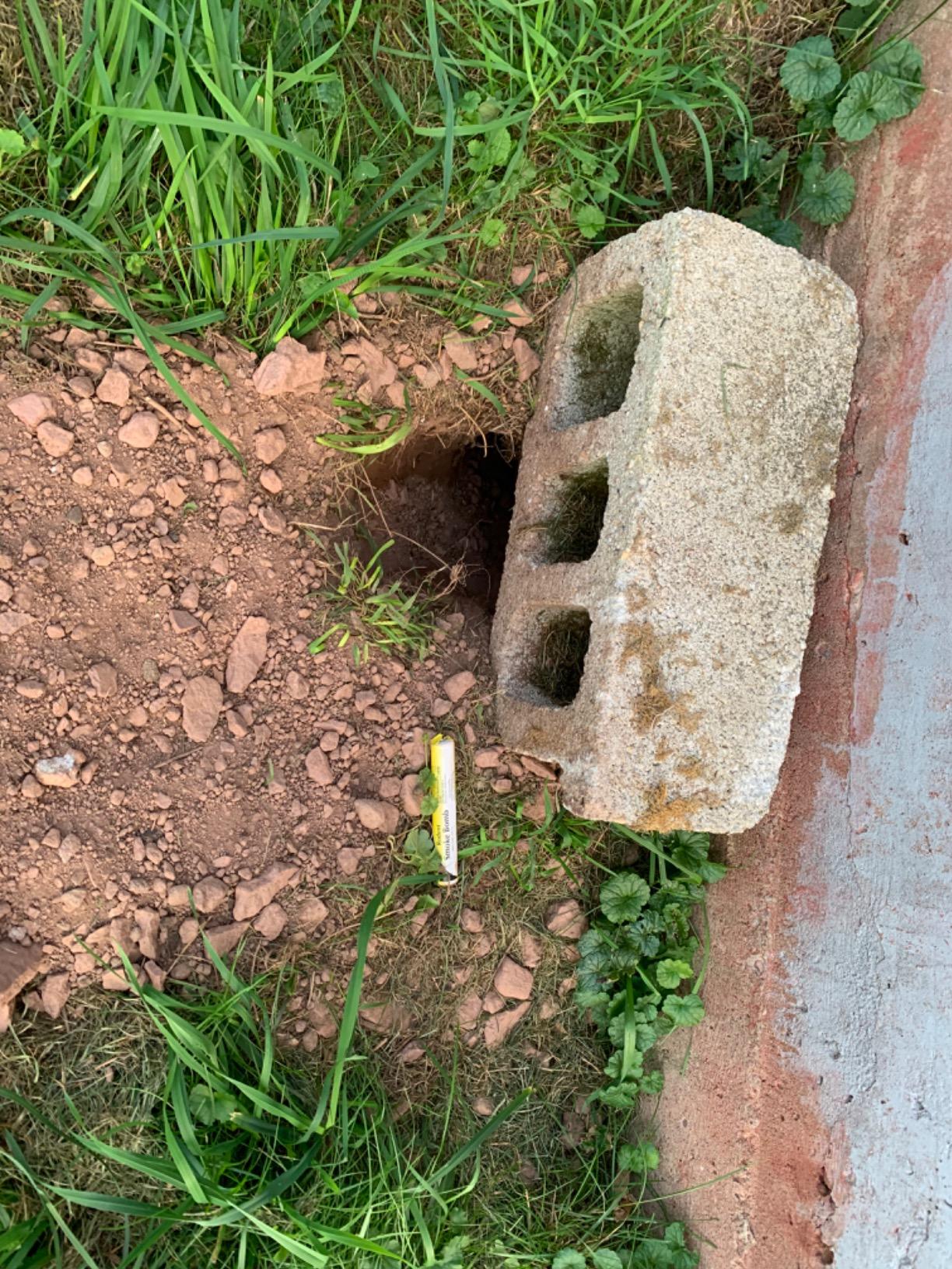 Amazon.com : Revenge Rodent Smoke Bombs (8-pack) Kills Rats Moles ...