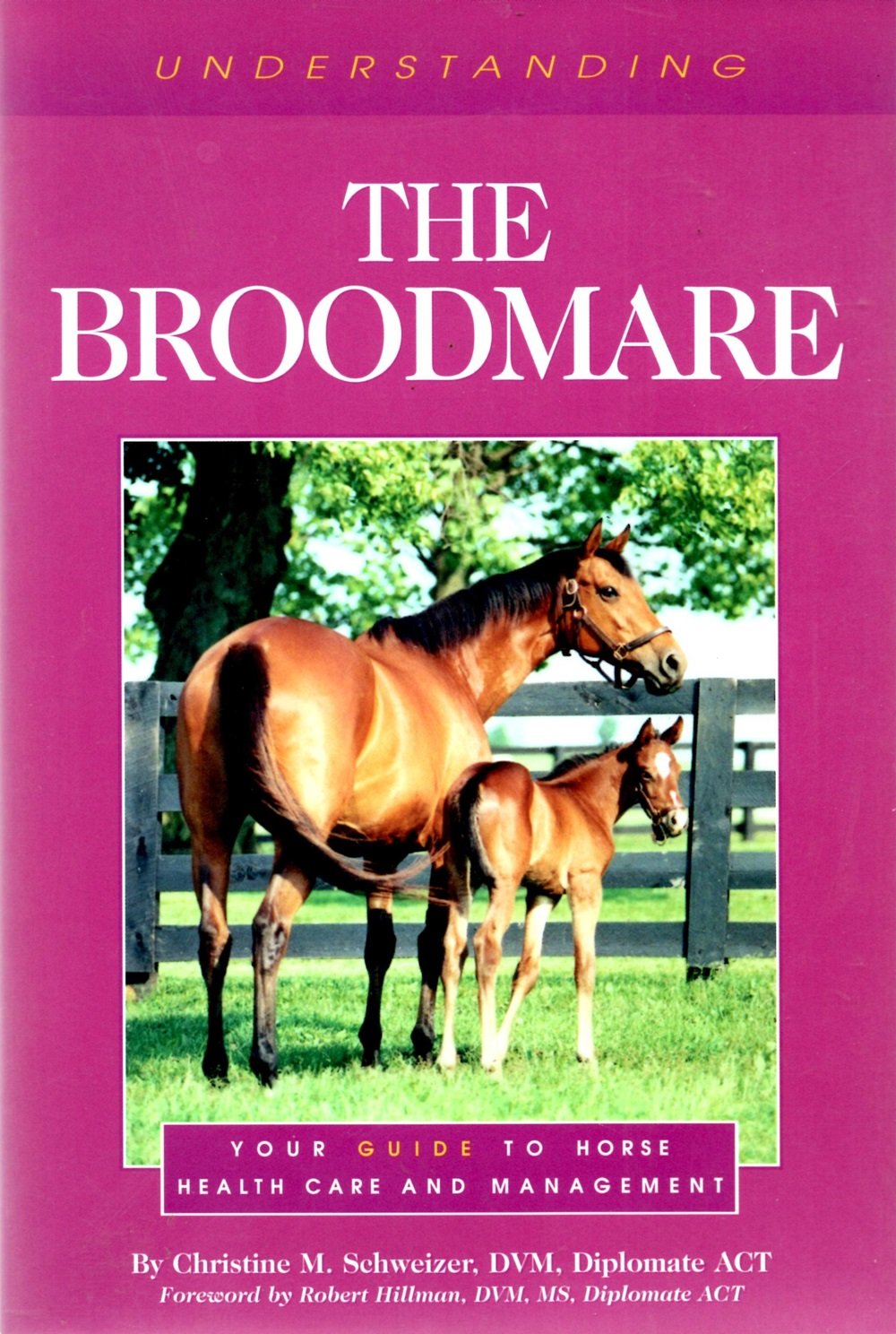 Understanding the Broodmare: Your Guide to Horse Health Care and ...