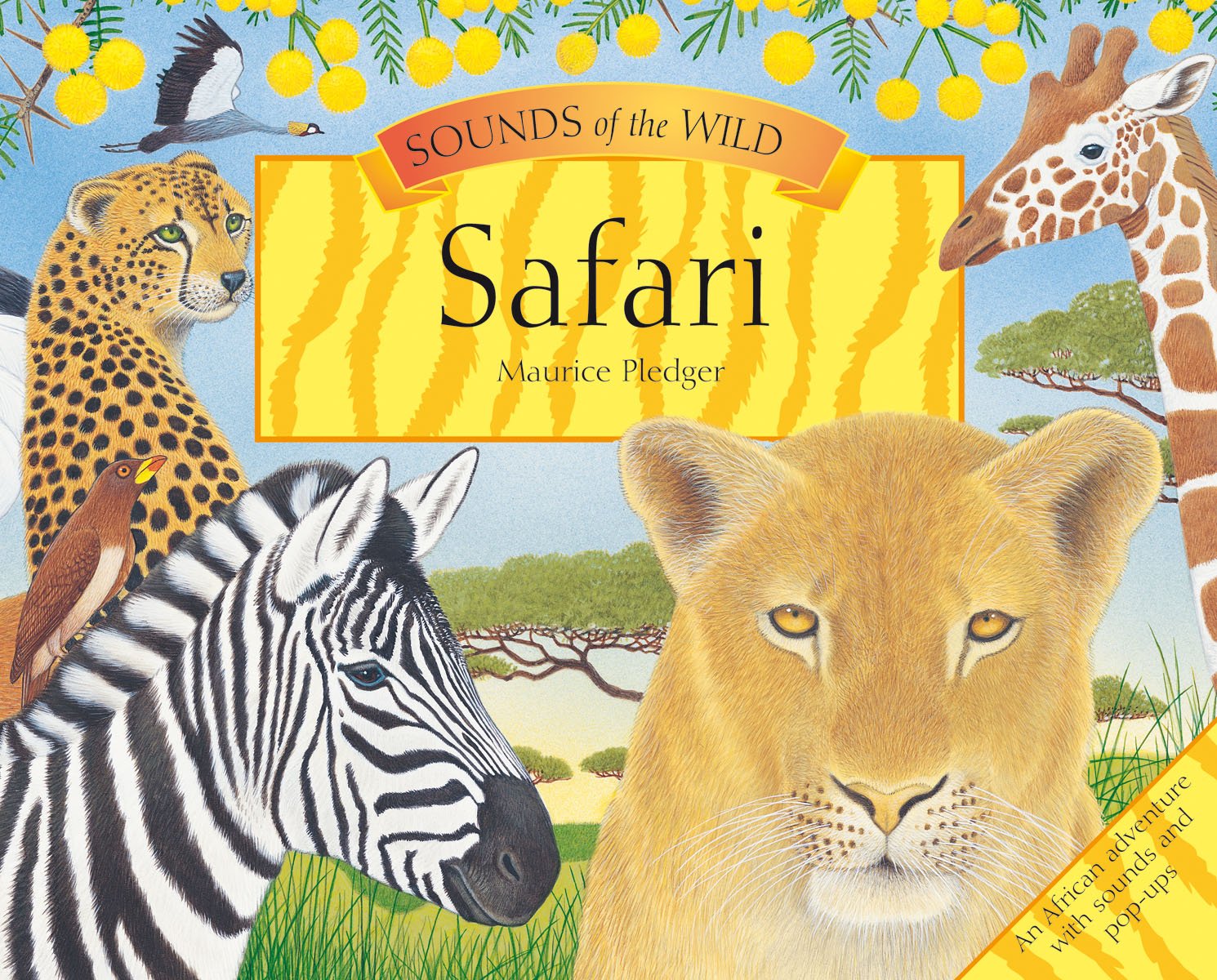 Sounds of the Wild: Safari (Pledger Sounds): Pledger, Maurice ...