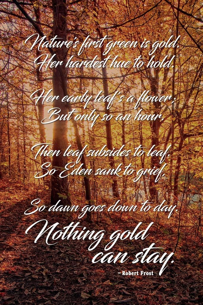 Amazon.com: Nothing Gold Can Stay Robert Frost Poem Poetry ...
