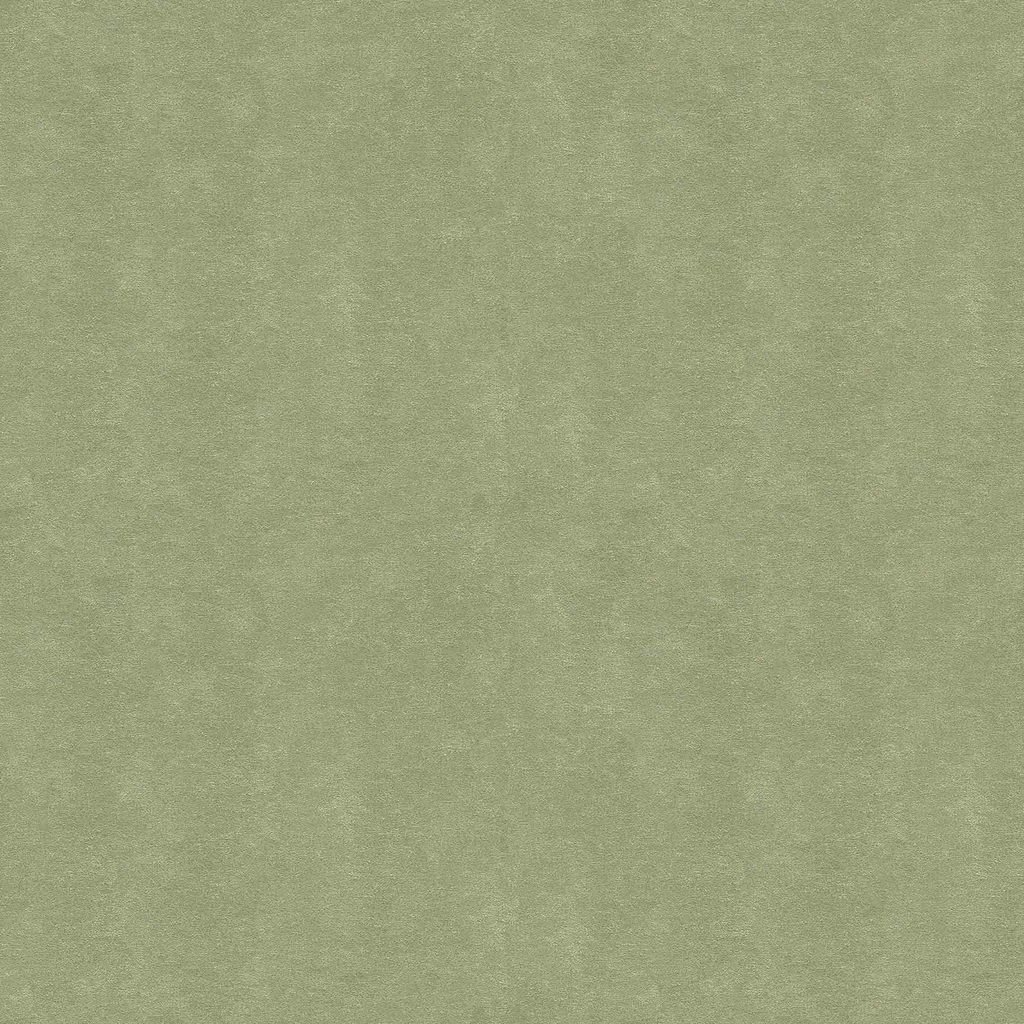 Wallpaper 4 Less Olive Green Solid wallpaper-57 Sq FT : Amazon.in: Home ...