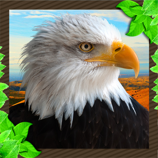 Wildlife Angry Eagle Jungle Attack Simulator 3D - App on Amazon Appstore