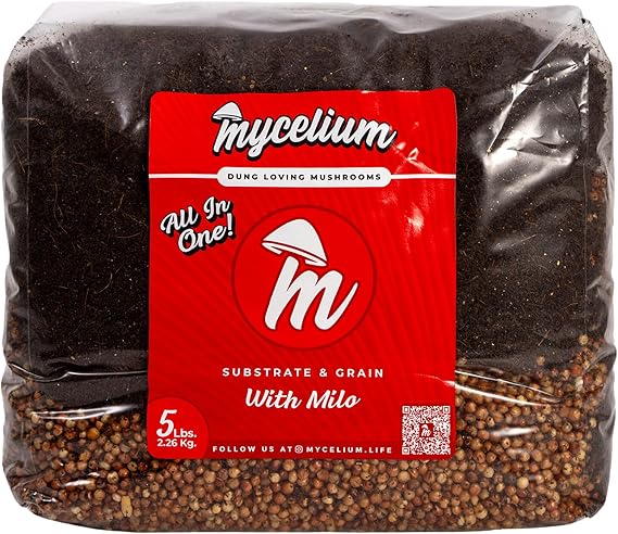 Amazon.com : Mycelium Mushroom Growing Kit I CVG Substrate (Coco Coir ...