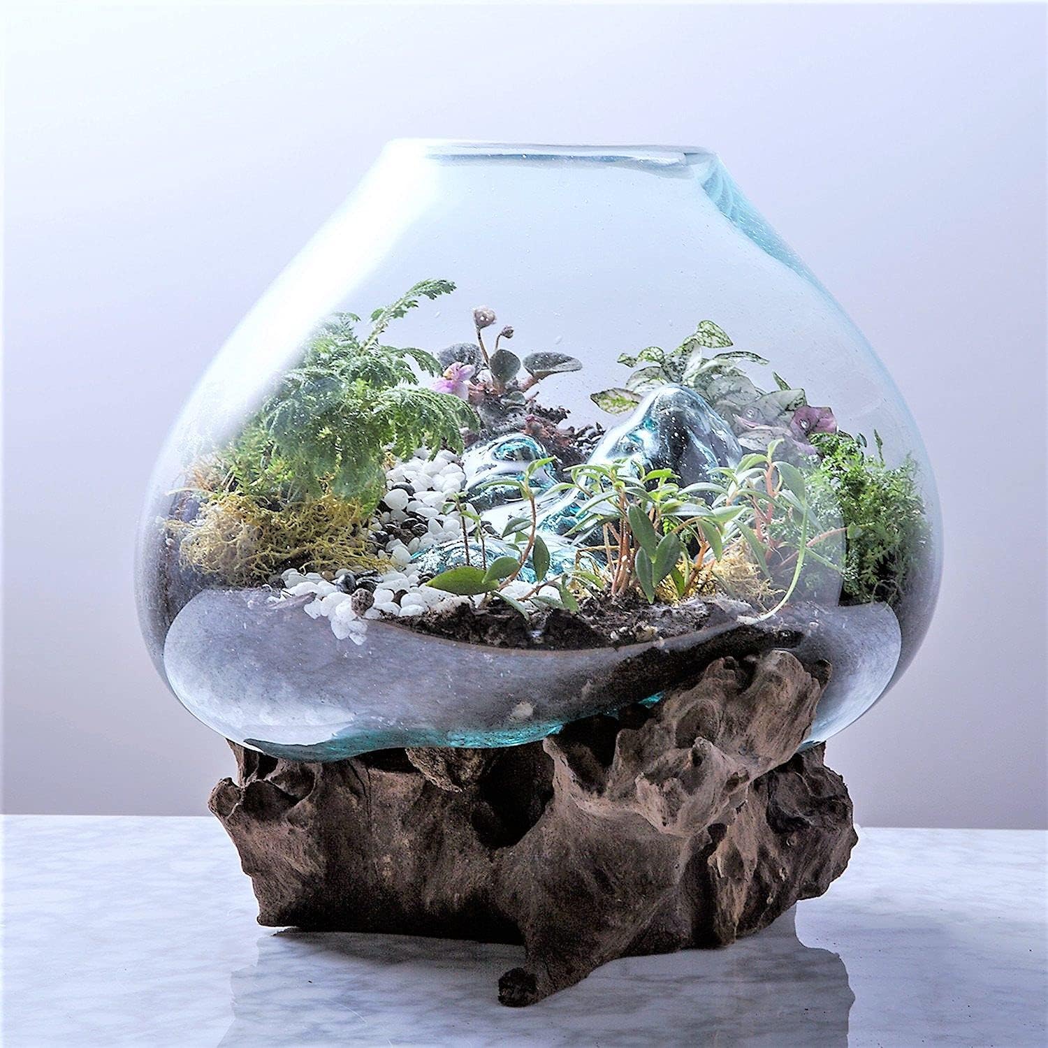 TrustBasket Triangular Tower Terrarium for Small Indoor Plants : Amazon ...