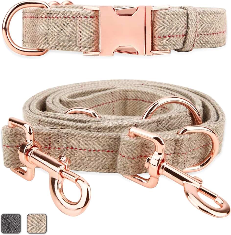 Amazon co uk Dog Collar And Lead amazon-co-uk-dog-collar-and-lead