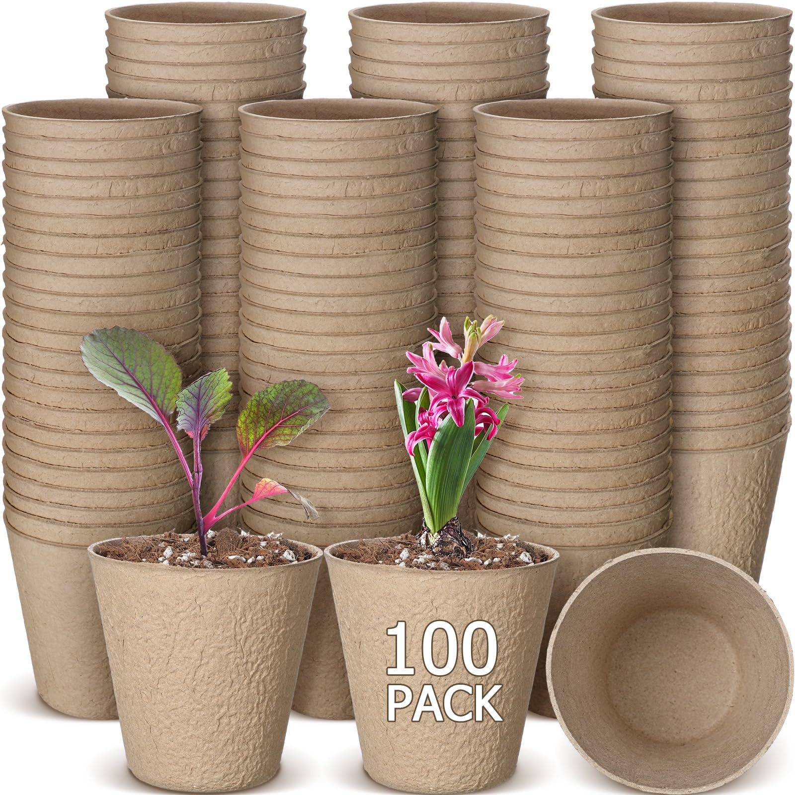 Amazon.com : Lallisa 100 Pcs Peat Pots for Seedling 4 Inch Germination ...