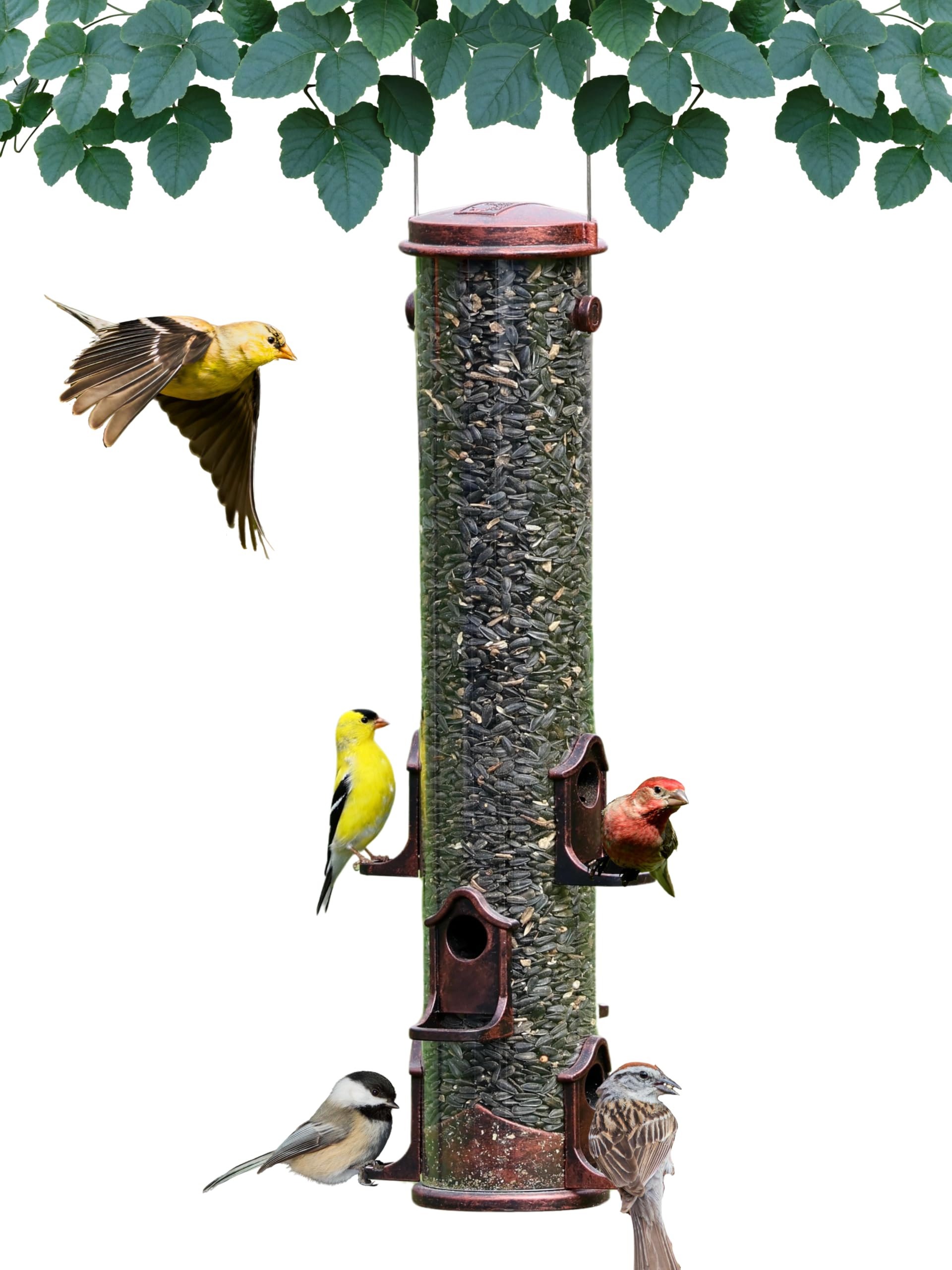 Amazon.com : Backyard Essentials Tube Bird Feeder, 6 Port Mammoth ...