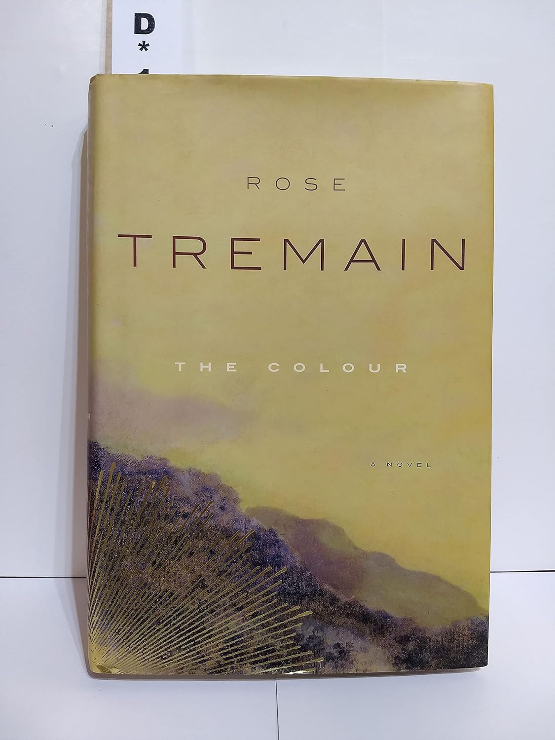 The Colour: Amazon.co.uk: Tremain, Rose: 9780374126056: Books