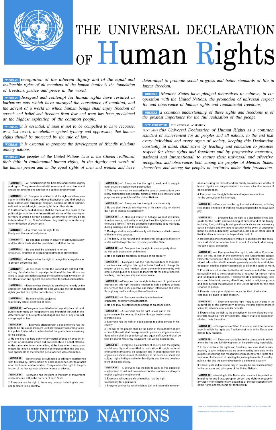 Amazon.com: Universal Declaration of Human Rights Replica - Poster Art ...