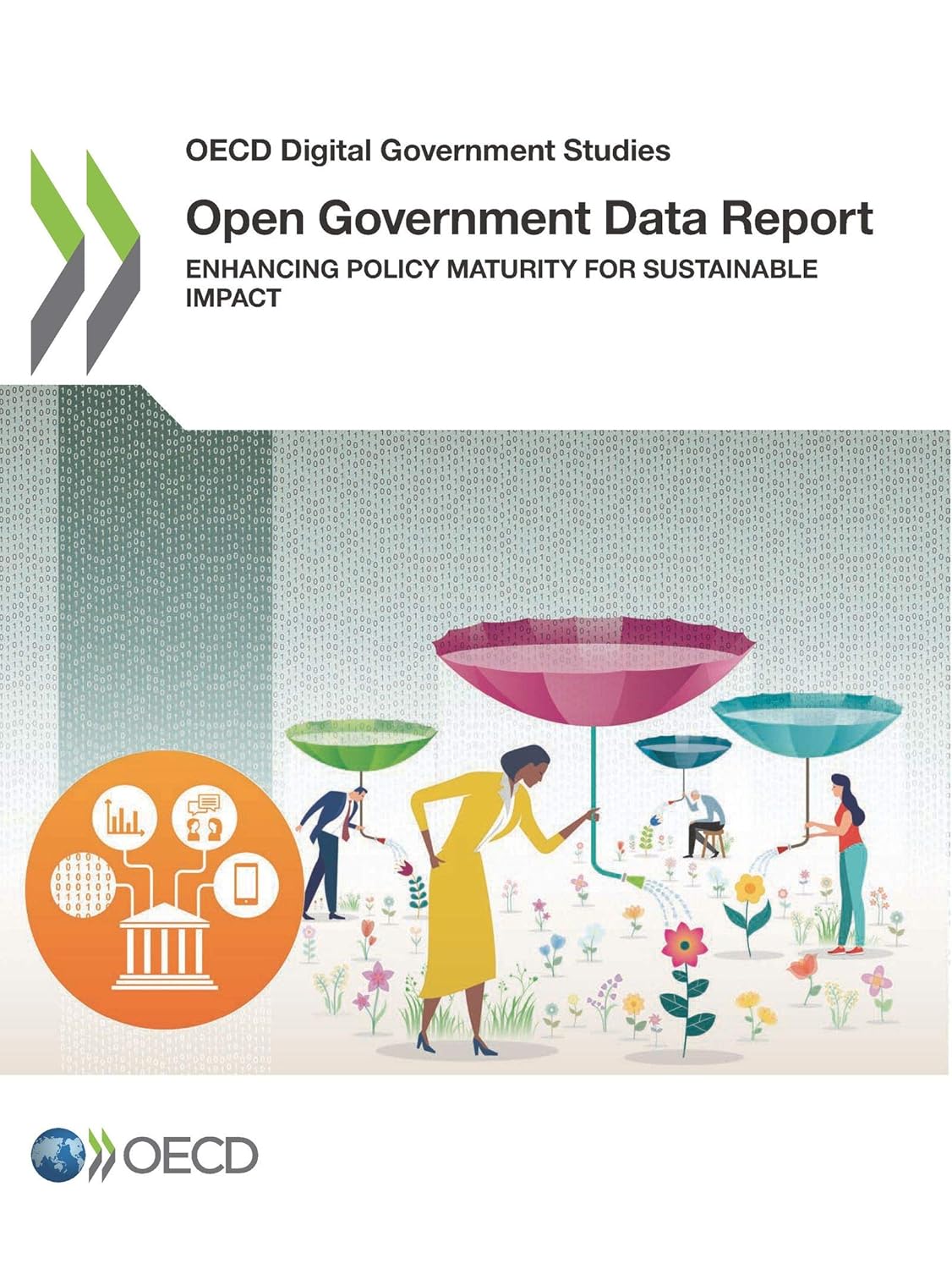 OECD Digital Government Studies Open Government Data Report Enhancing ...
