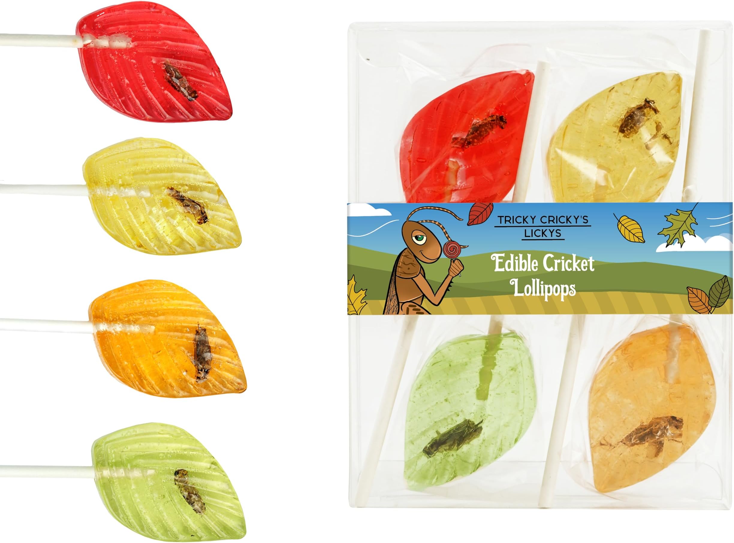 Amazon.com : Tricky Cricky's Lickys - Gourmet Edible Bug Candy ...