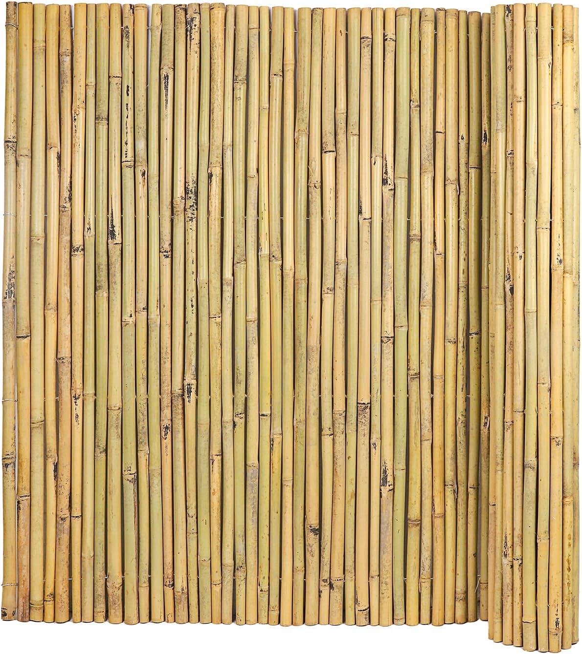 Amazon.com : Gardgue Natural Bamboo Fence, 4 ft x 6 ft Bamboo Fencing ...