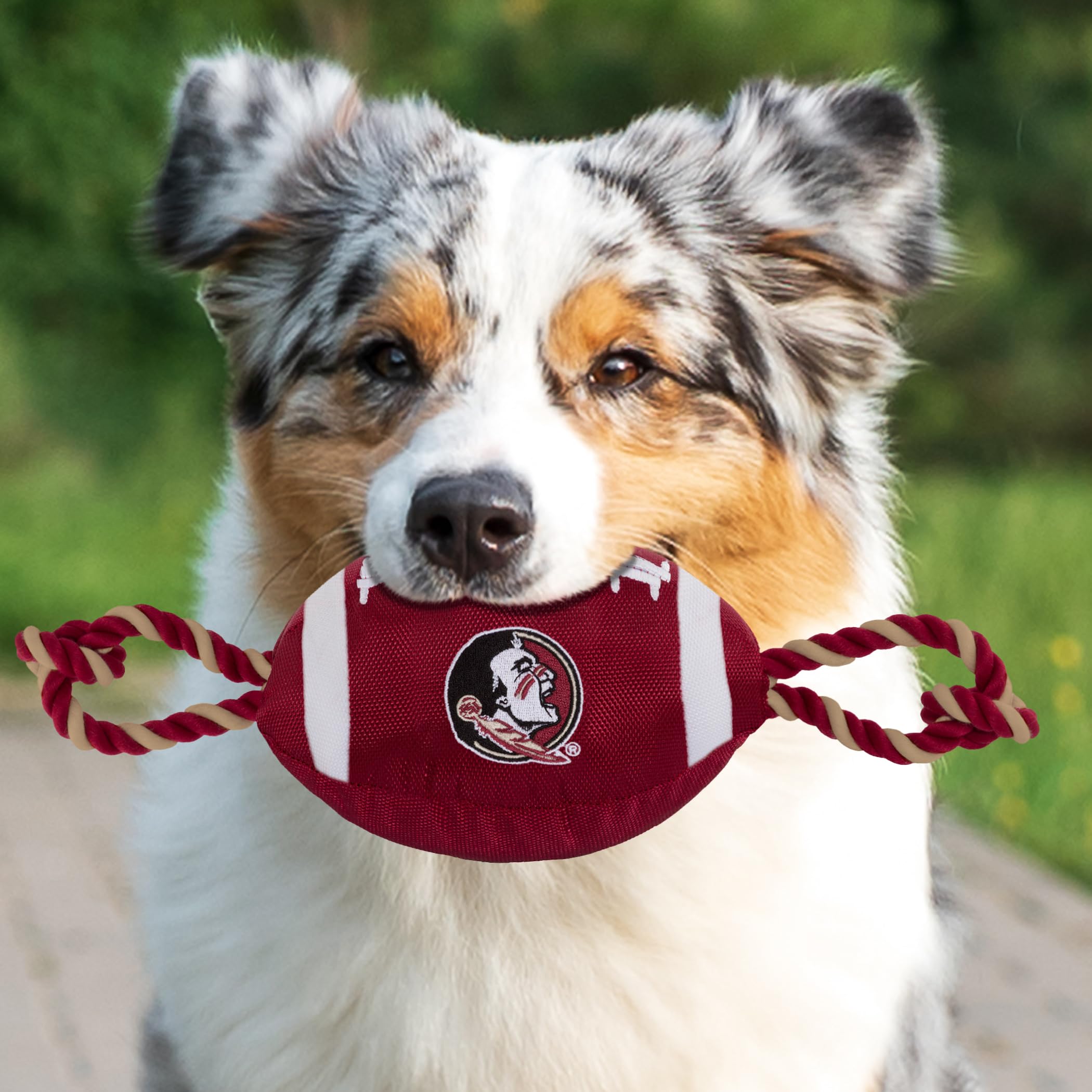 Florida State Dog
