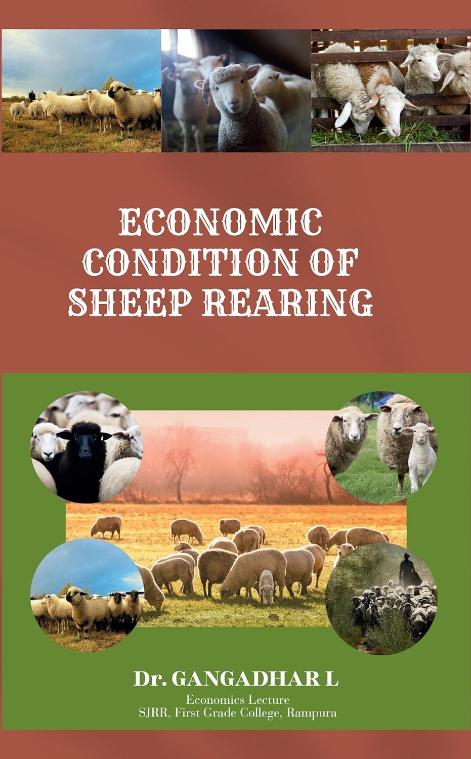 Amazon.in: Buy ECONOMIC CONDITION OF SHEEP REARING Book Online at Low ...
