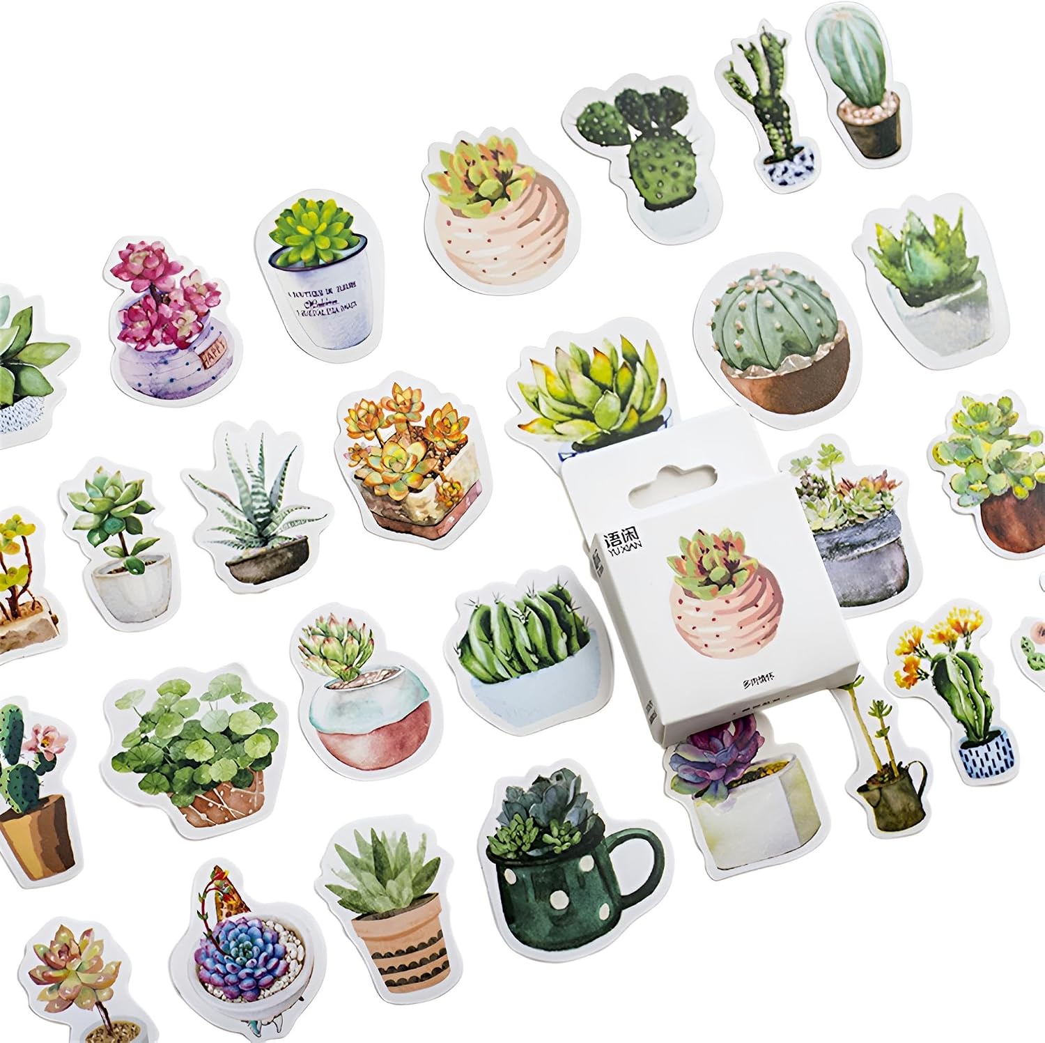 Amazon.com: Small Succulent Sticker, 50 pcs, Green Plants Mini Size ...