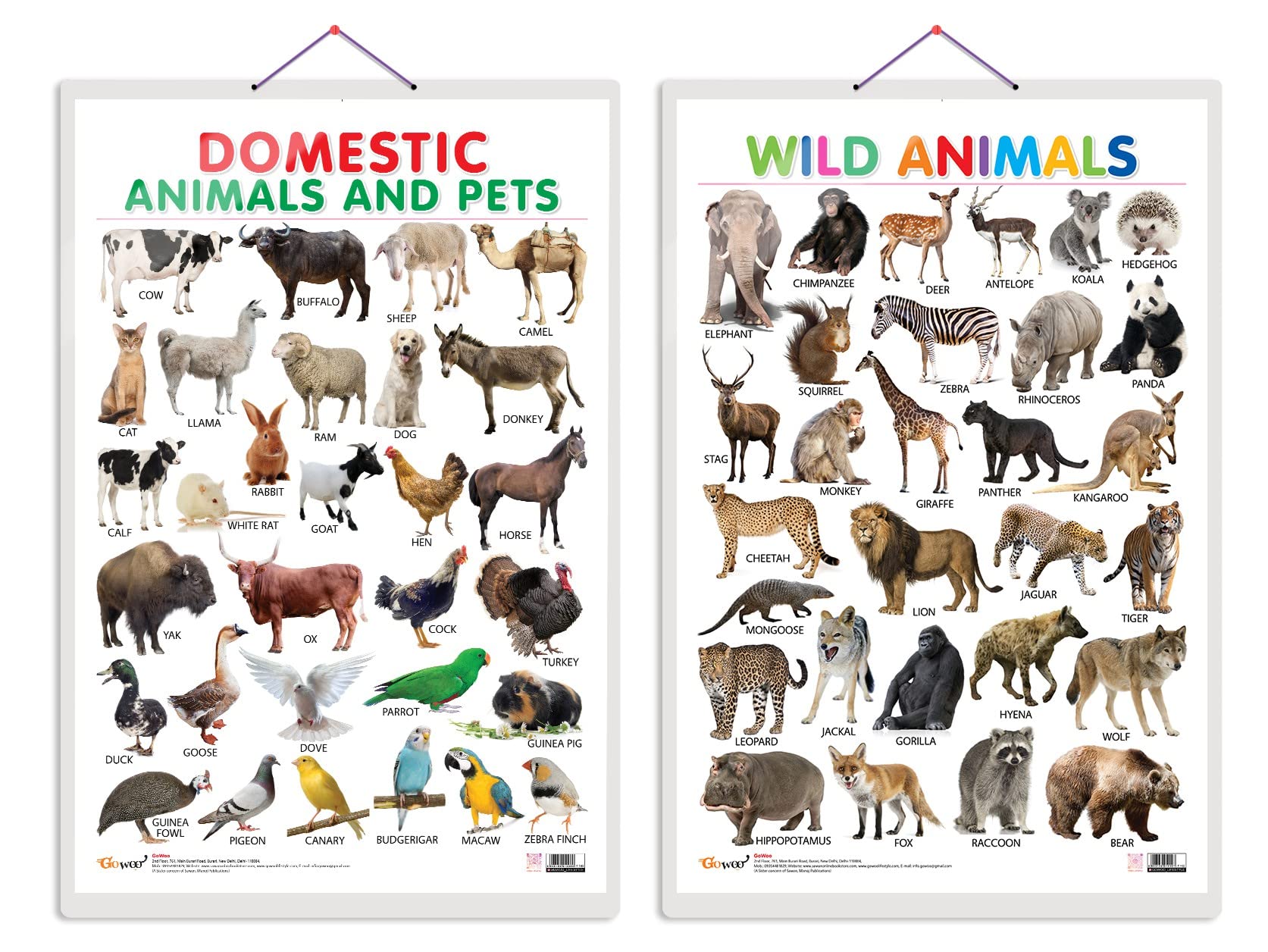 Set of 2 Domestic Animals and Pets and Wild Animals Early Learning ...