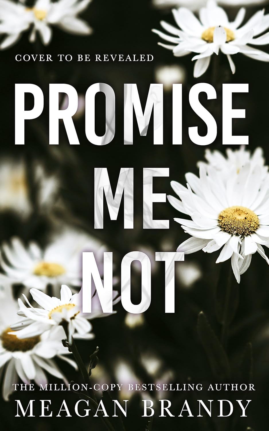 Promise Me Not : Brandy Meagan: Amazon.ca: Books