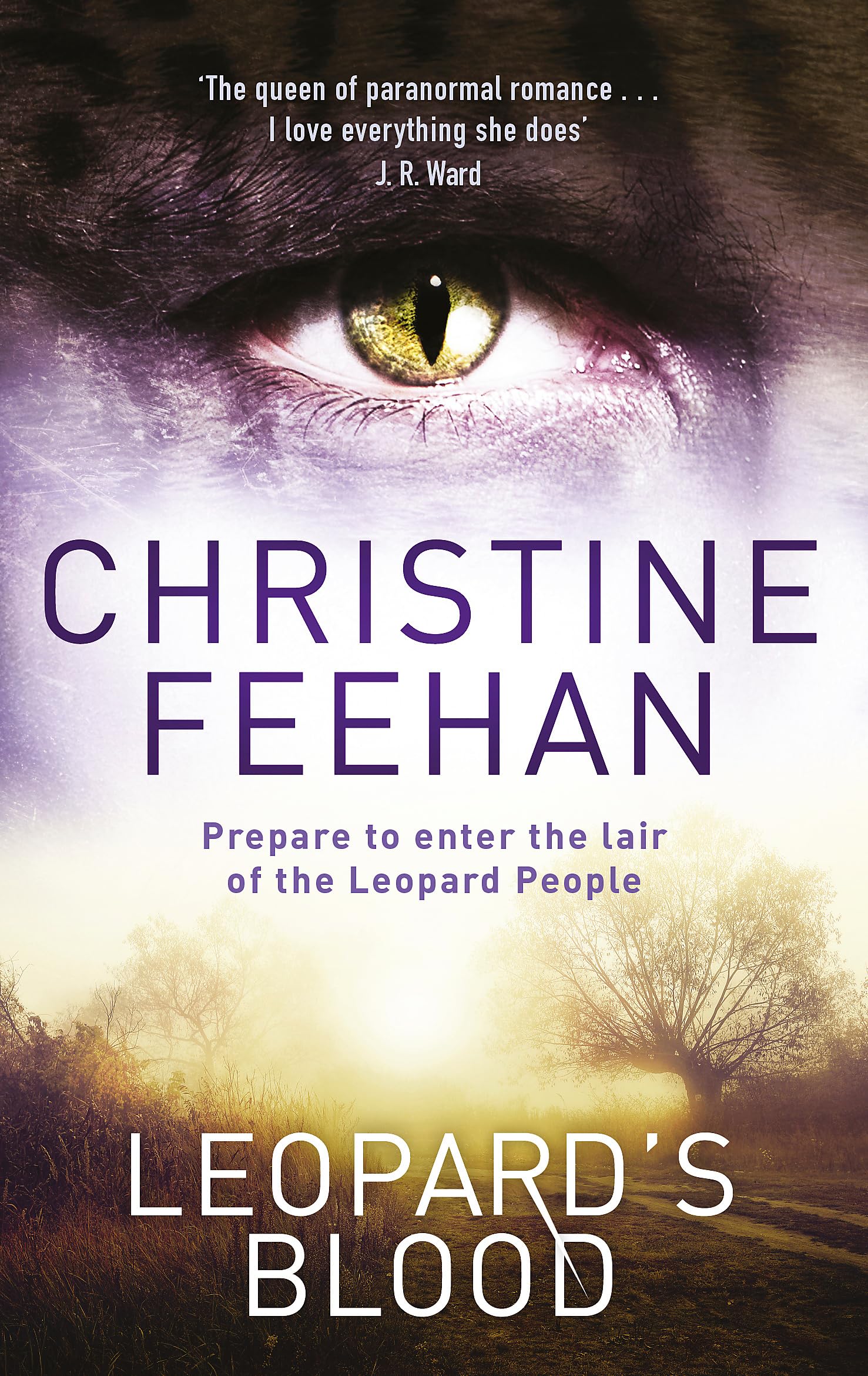 Leopard's Blood: Feehan, Christine: 9780349416540: Amazon.com: Books