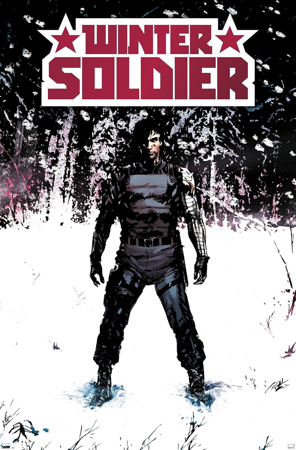 Amazon.com: Marvel Comics Winter Soldier - Winter Soldier #1 Wall ...