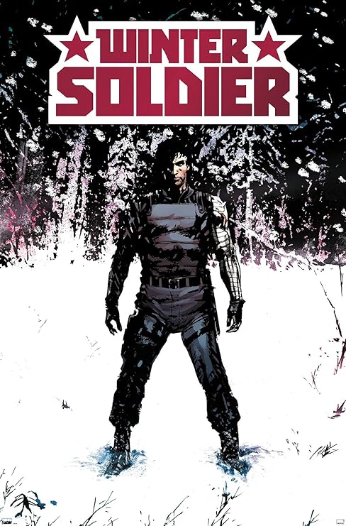 Amazon.com: Marvel Comics Winter Soldier - Winter Soldier #1 Wall ...