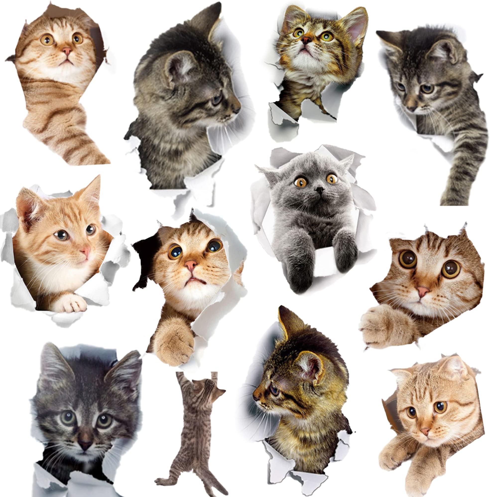 Articlings 12 Cute Cat Face Window Clings 12 Different Breeds - Non ...