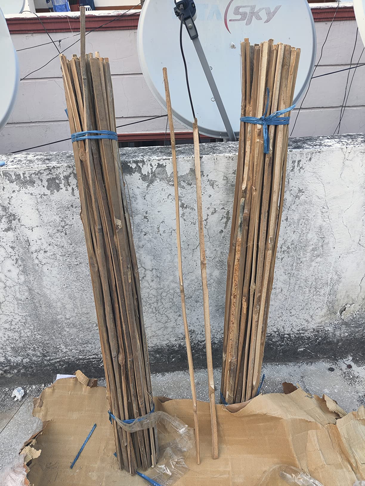 TCLPVC Bamboo Sticks for Plants Support (Pack of 50 Piece) Height 4 ...