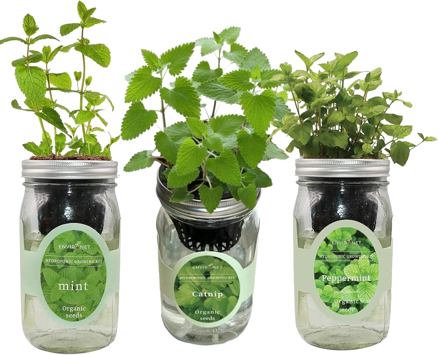 Amazon.com: Environet Hydroponic Herb Growing Kit Set, Self-Watering ...