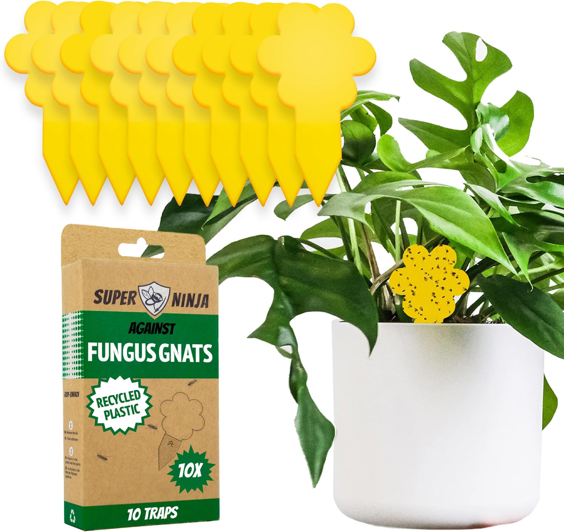 Super Ninja Fungus Gnat Killer - 10 Traps - Highly Effective and ...