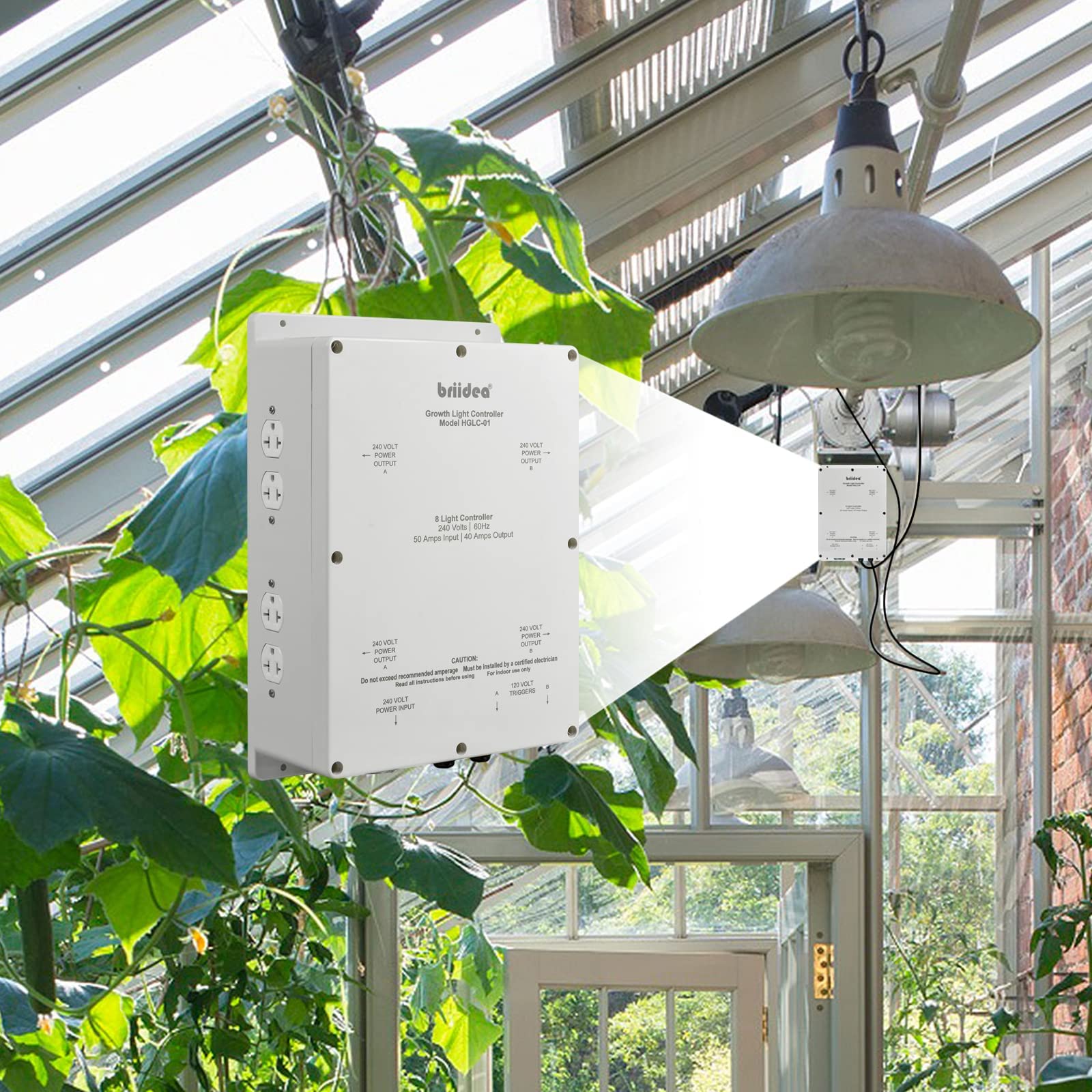 8-Light Controller, Briidea Lighting Relay Ballast Grow Light ...