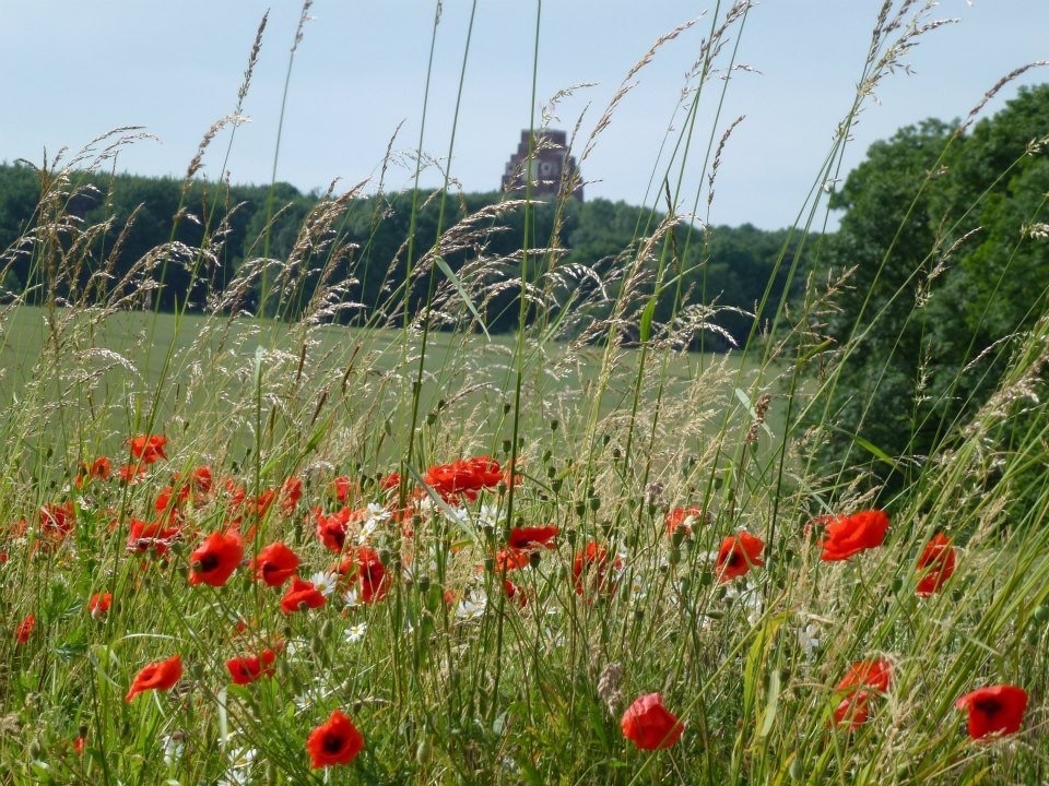 Amazon.co.uk: Peter Jones: books, biography, latest update