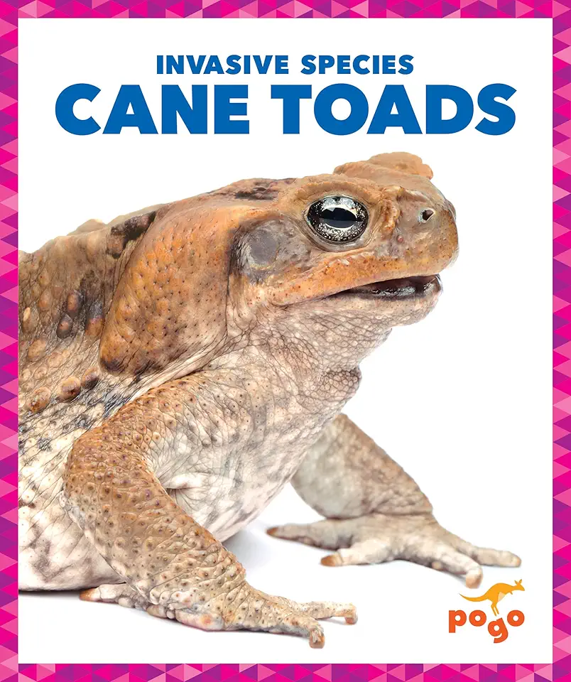 Cane Toads In The Philippines: An Invasive Species Threatens Local ...
