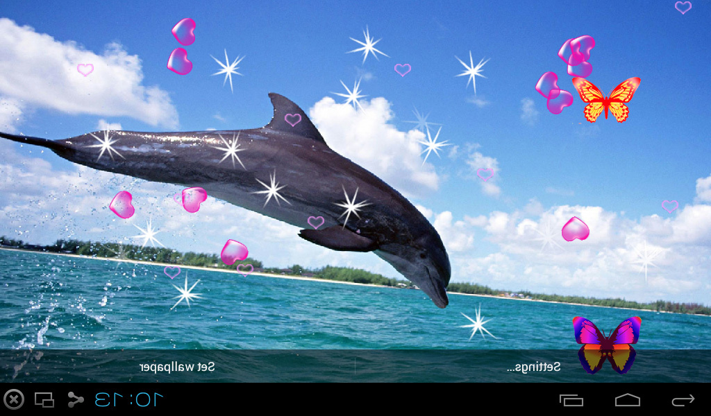 Free 3d Dolphin Live