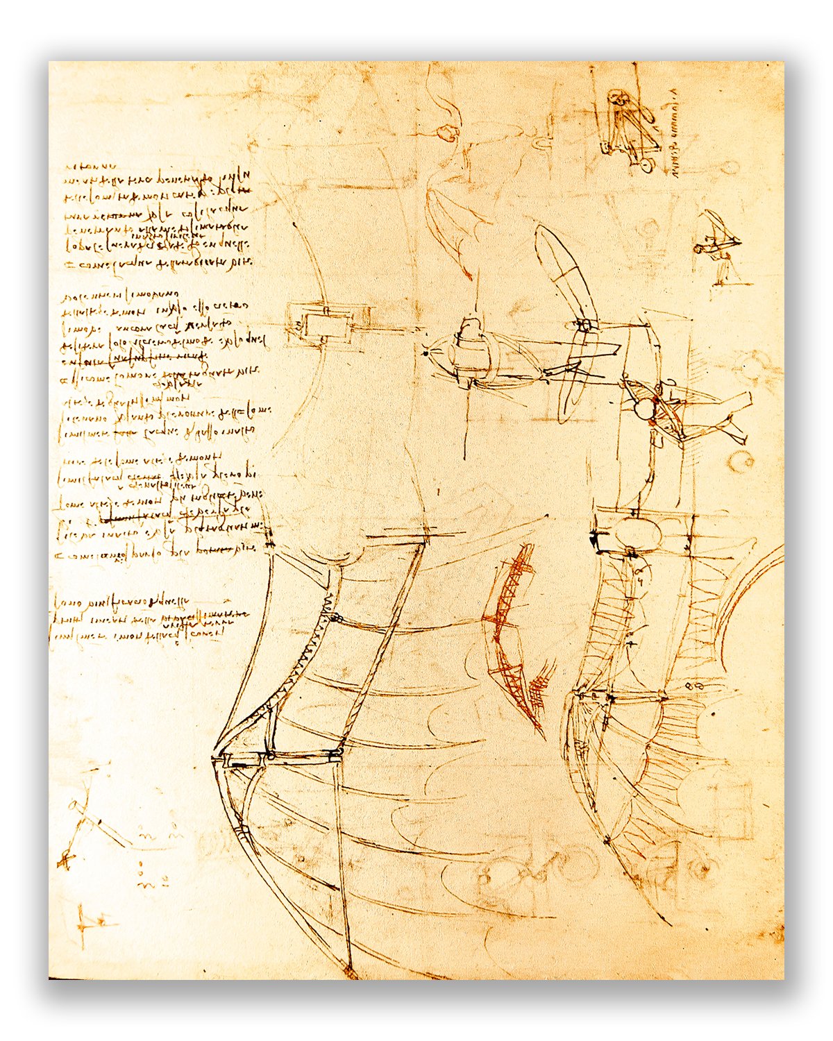 Buy Leonardo da Vinci Art Prints - Set of 4 (8 inches x 10 inches) Wall ...