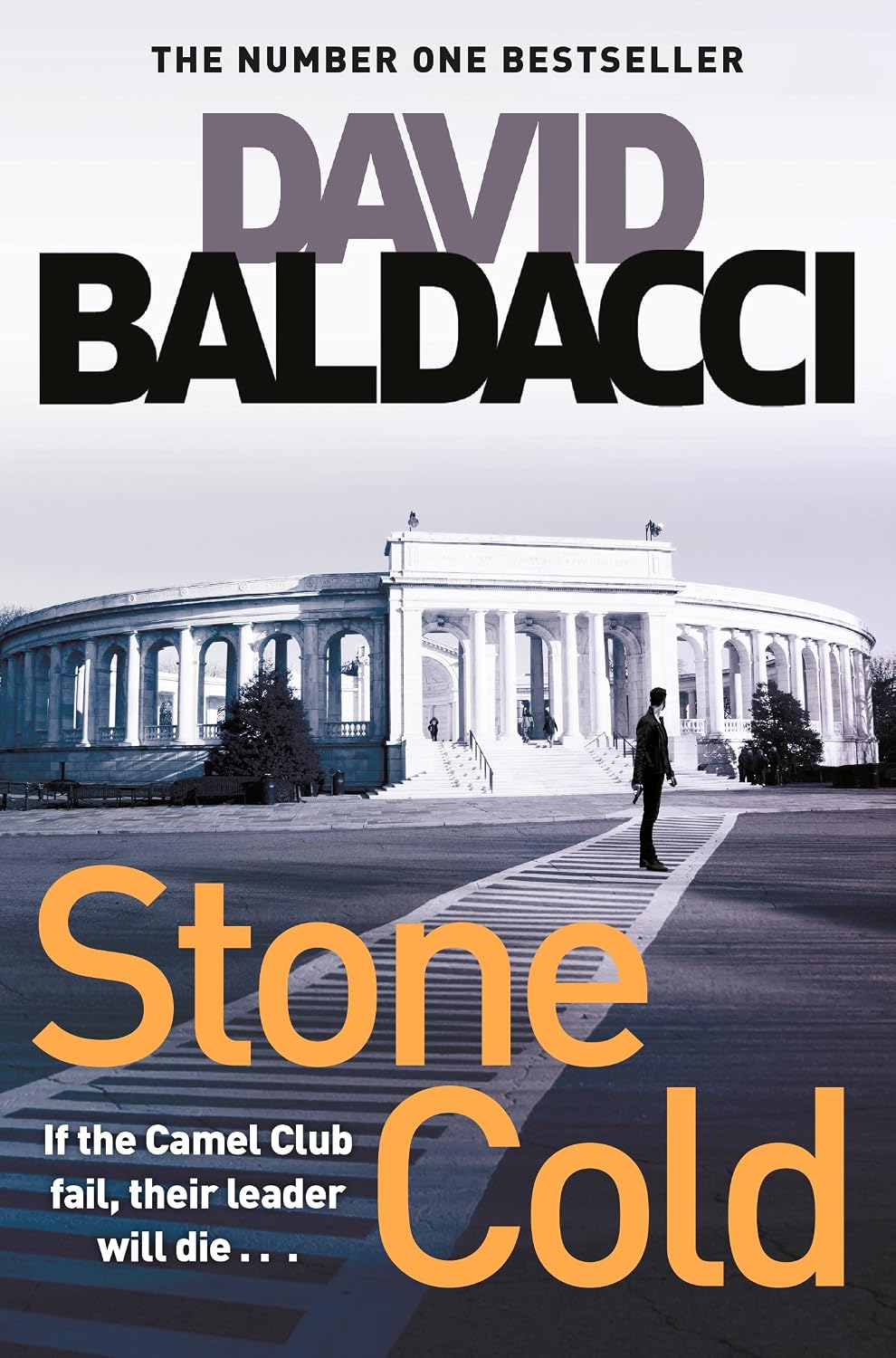 Stone Cold: David Baldacci: 9781509850990: Amazon.com: Books