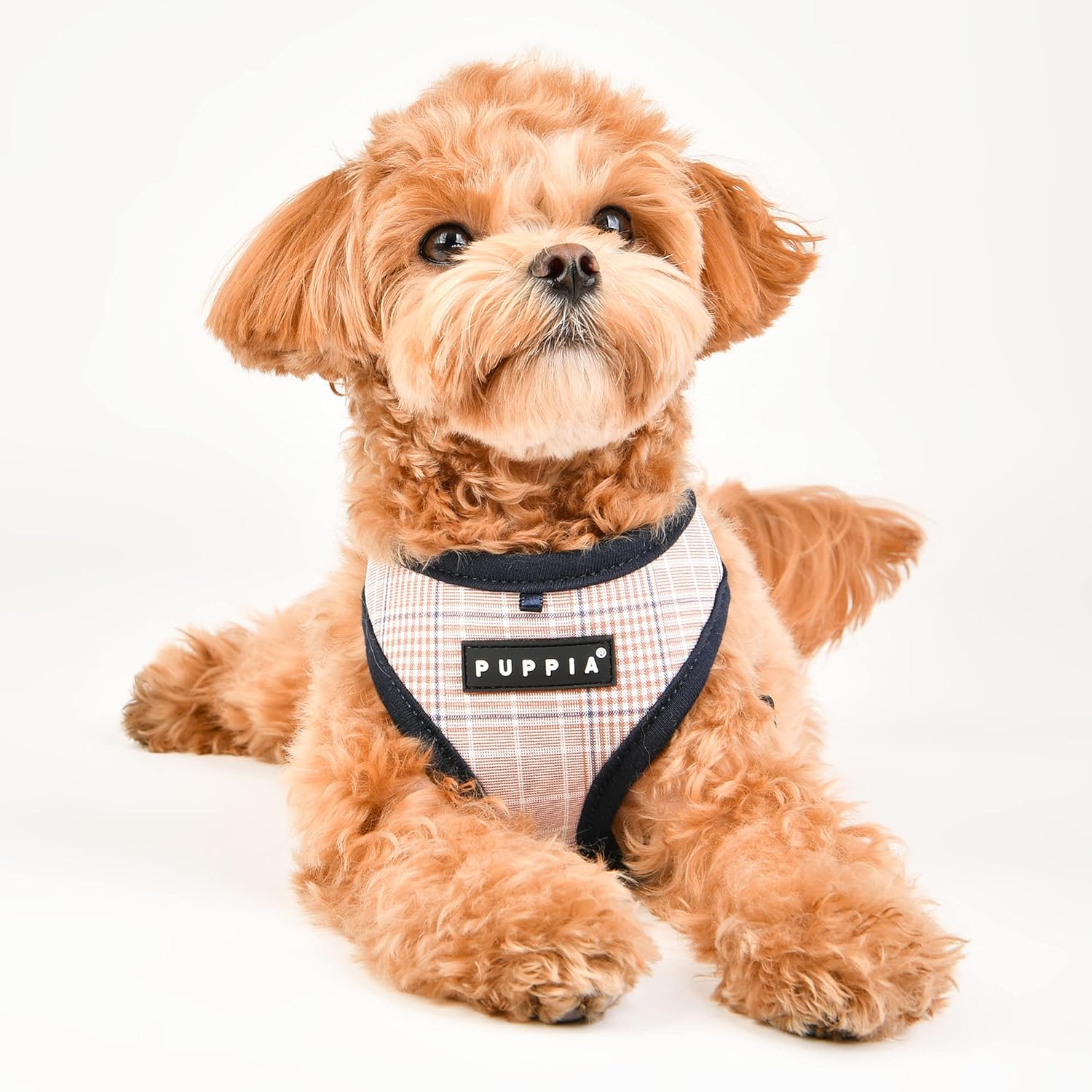 Puppia Dog Harness – BLAKE HARNESS A – For small and medium dogs – BigaMart