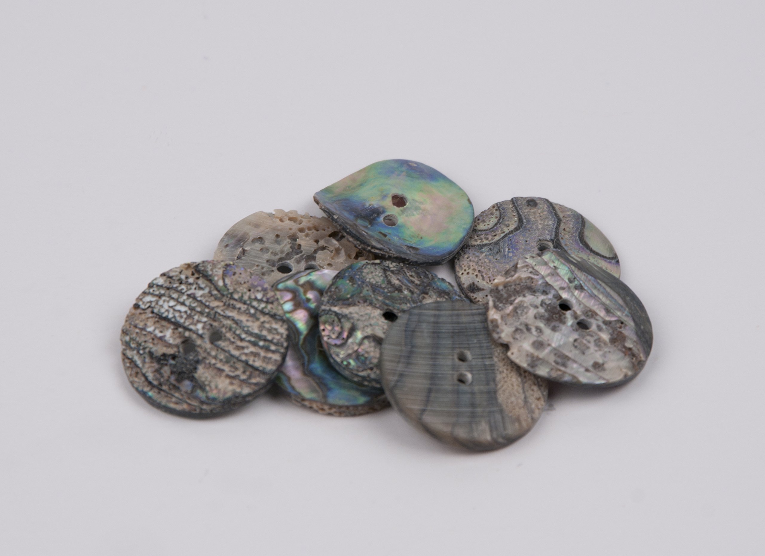 Amazon.com: Abalone Shell Discs - 1 Inch 2 Hole, 12 Pieces : Arts ...