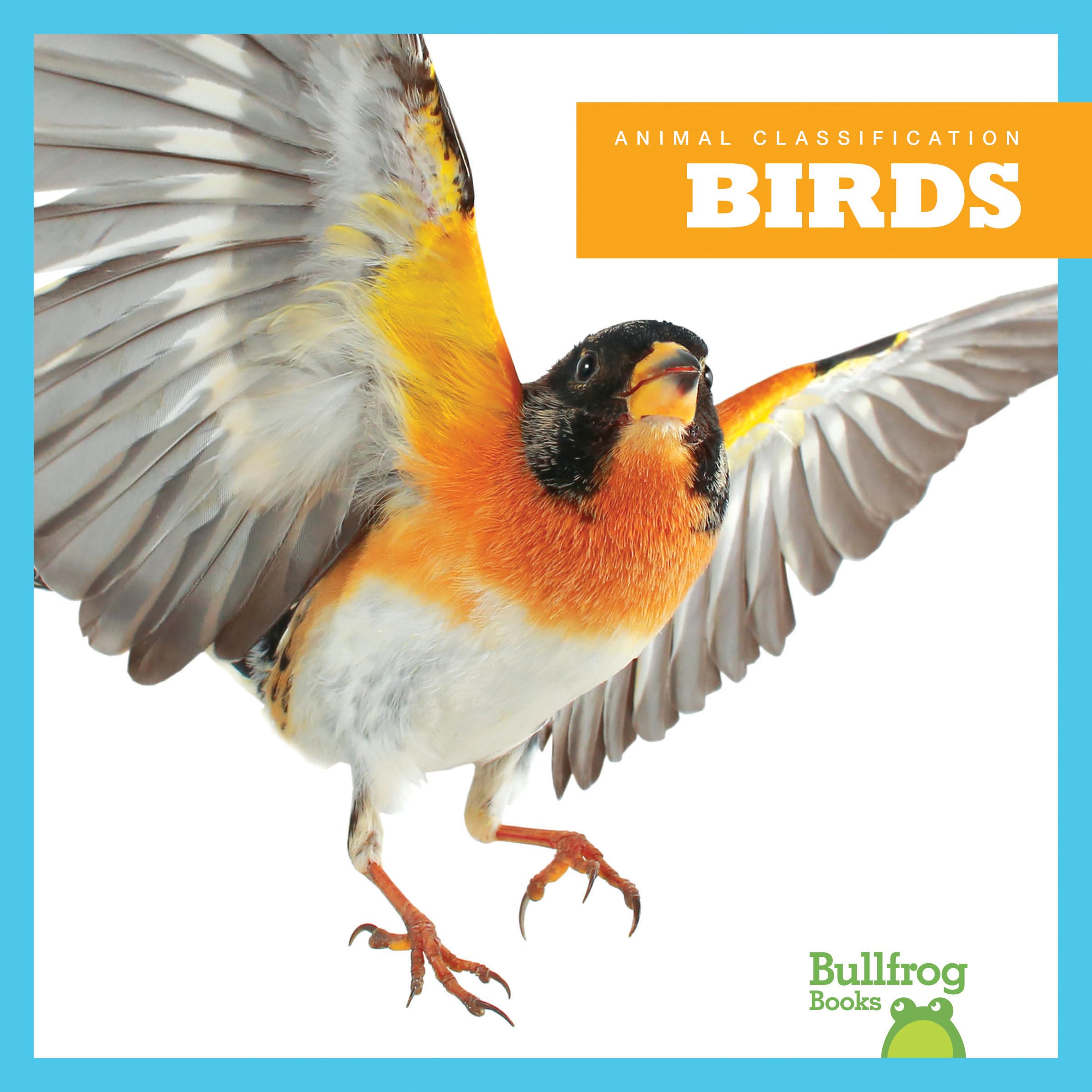 Amazon.com: Birds (Bullfrog Books: Animal Classification ...