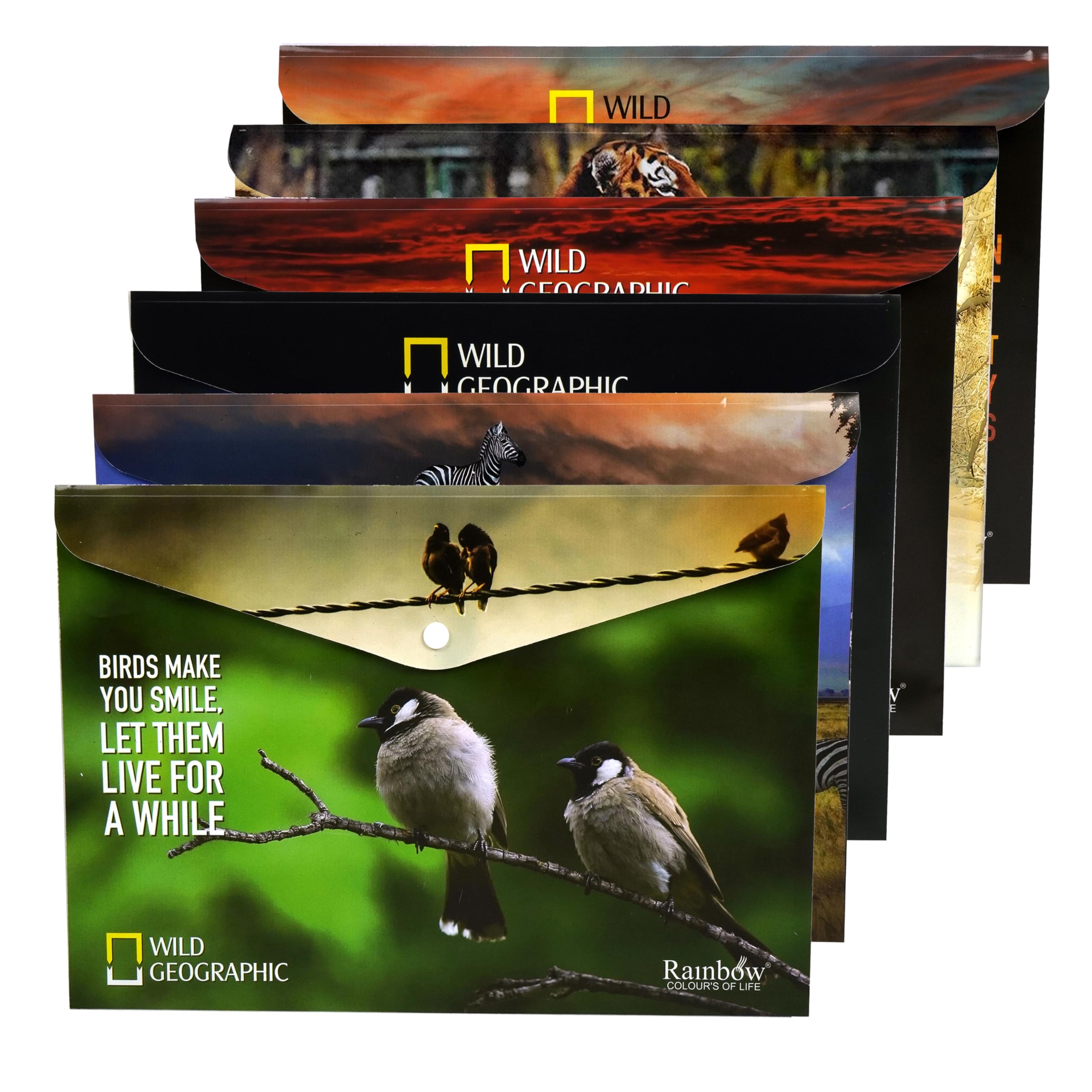 Shuban 6 Pcs Documents File Storage Holder with Snap Button Closer A4 ...