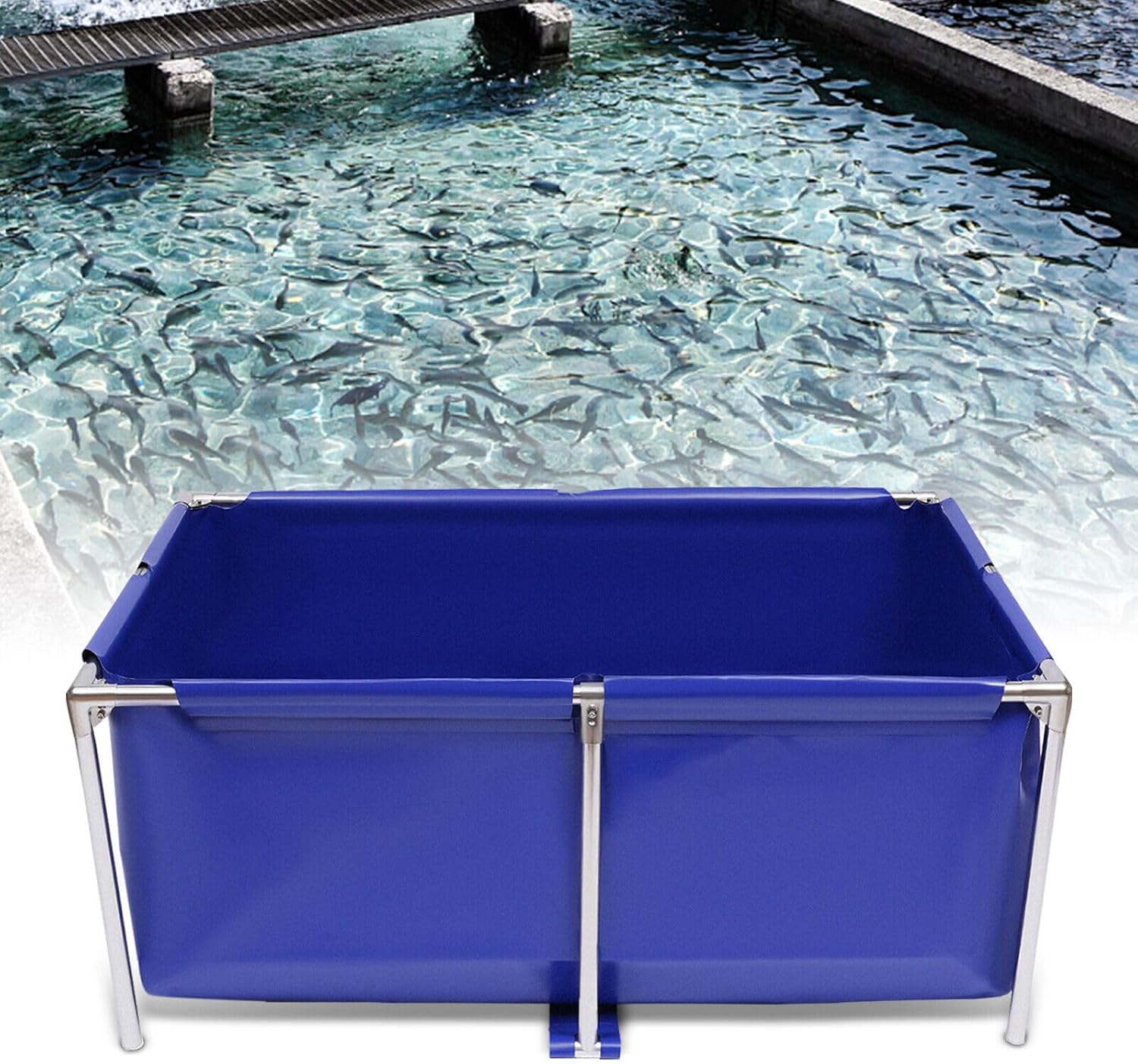 Amazon.com: Pool Above Ground Aquarium, PVC Canvas Fish Pool Pond ...
